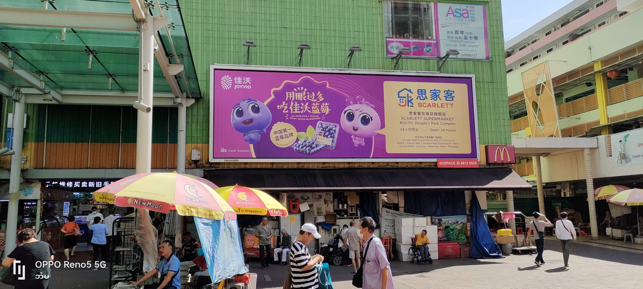 Discover the Perfect Blend of Freshness and Sweetness: Joyvio Blueberry ...